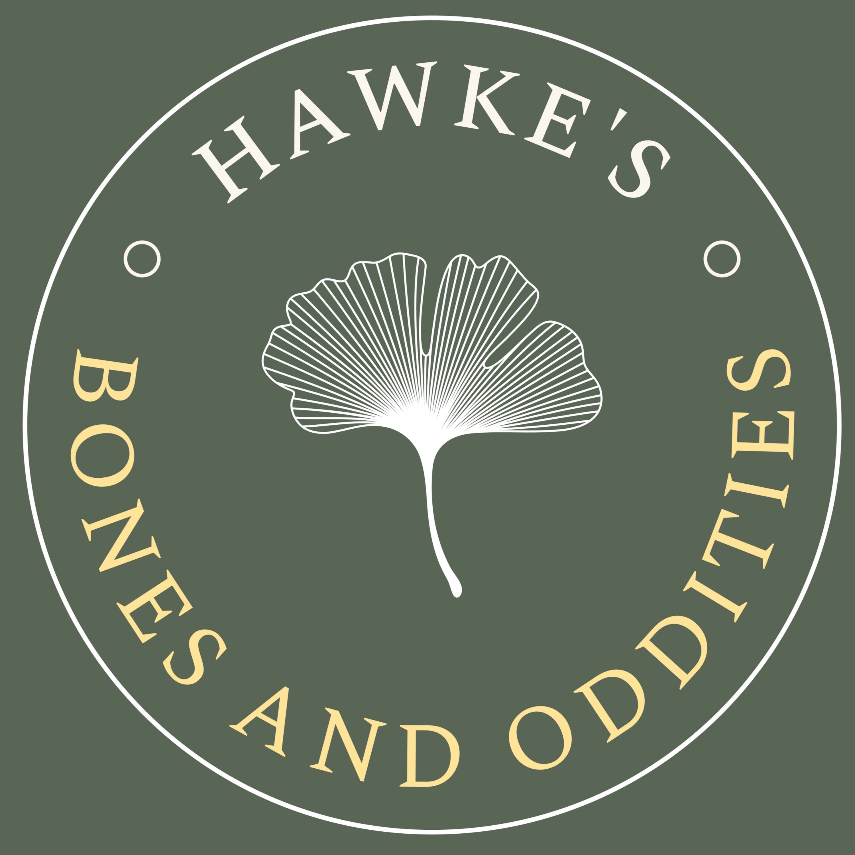 Products – Hawke's Bones and Oddities