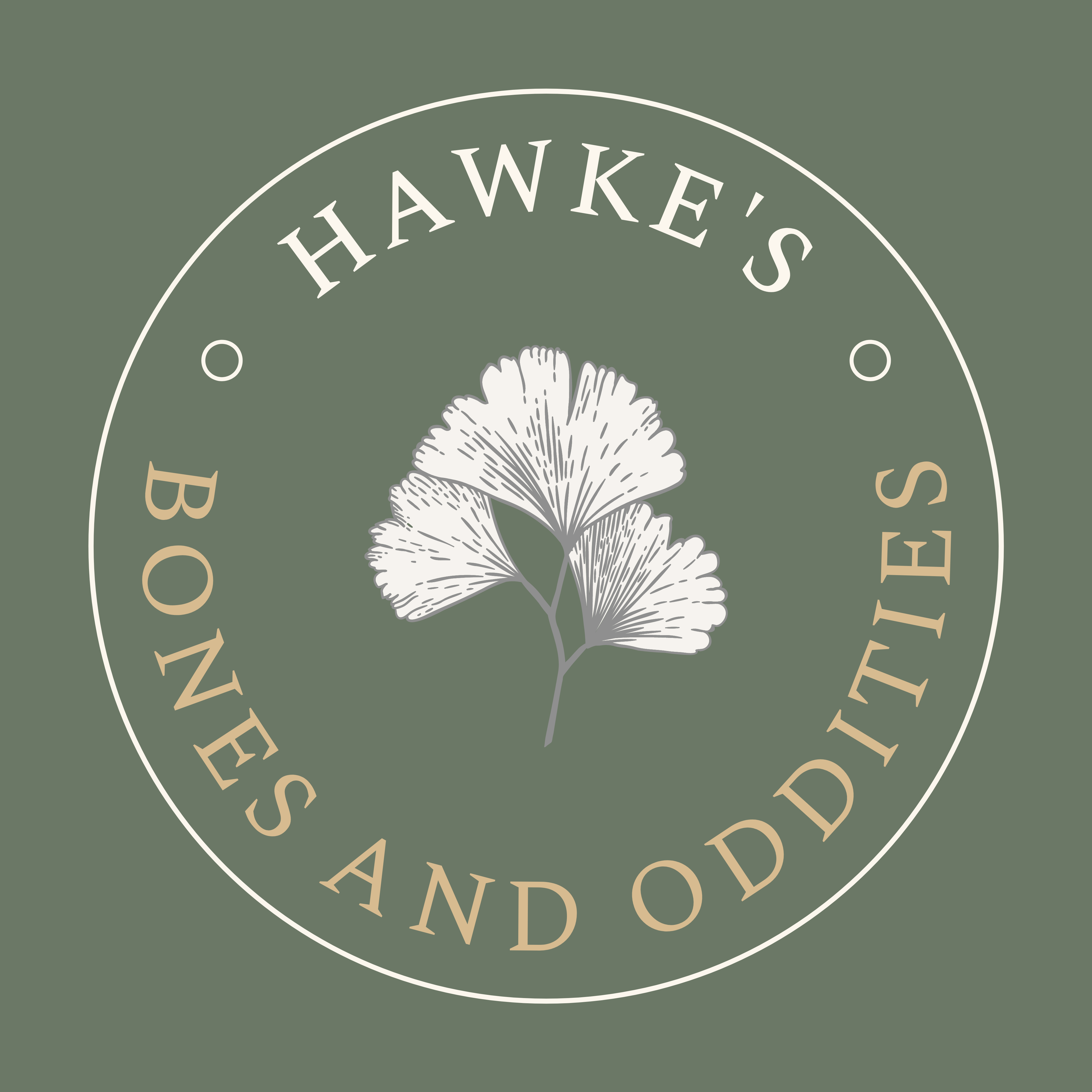 Animals and Materials – Hawke's Bones and Oddities